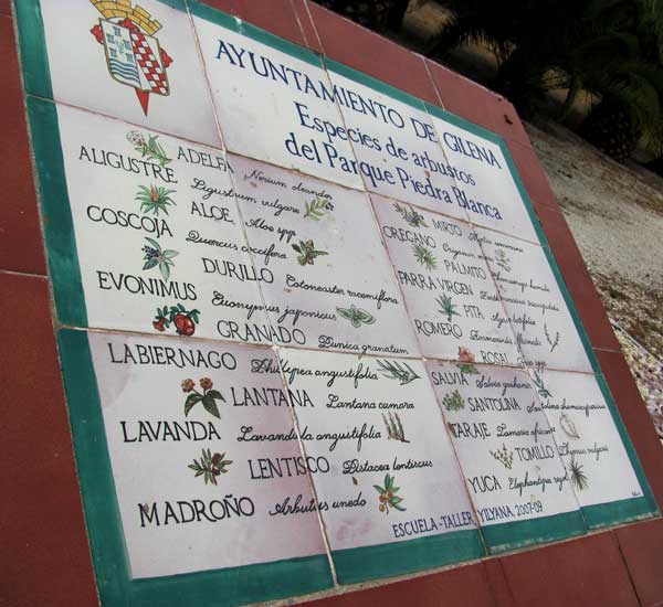Rótulos descriptivos de la flora local. Mural de cerámica para parque ...